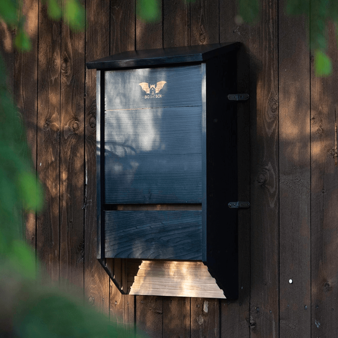 BAT HOUSES - Support Bat Conservation and Natural Mosquito Control ...