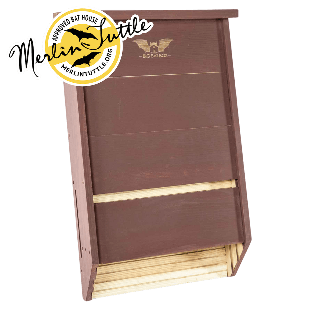 Products | Big Bat Box