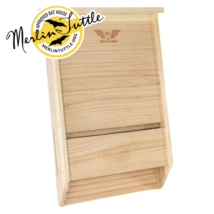 3 Chamber Bat Houses Merlin Tuttles Bat Conservation Certified Big