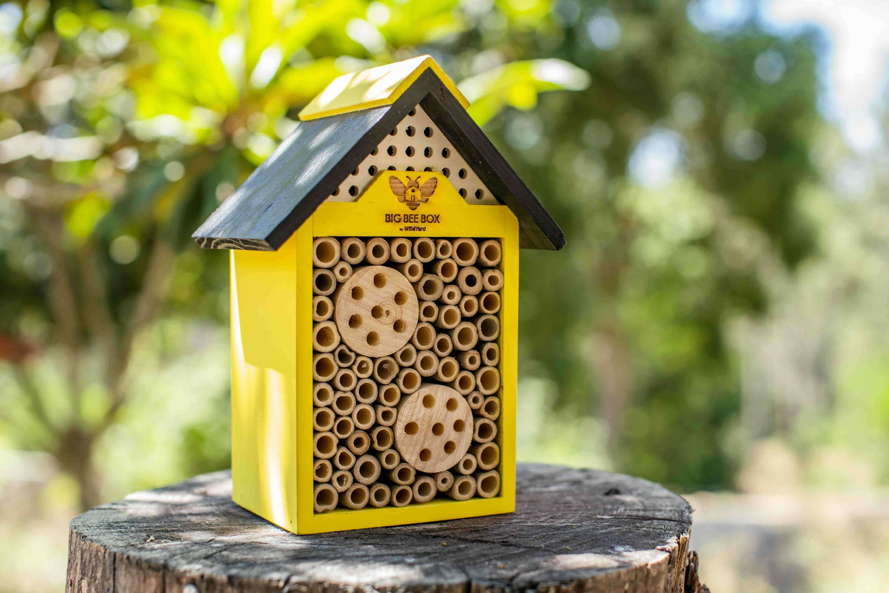 Bee Species Guide: Discover Their Vital Role in Nature – Tagged "Bee ...