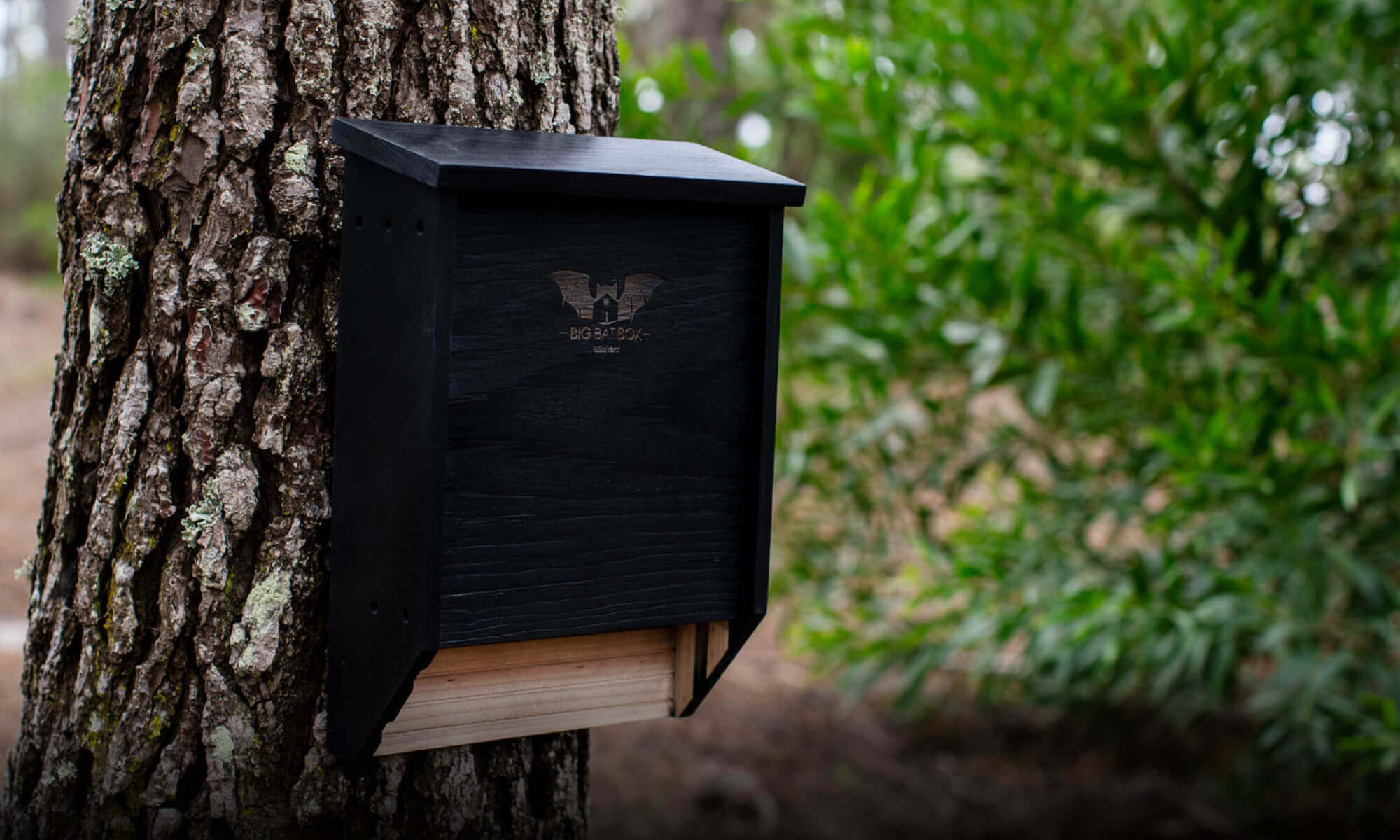 #1 Bat Boxes & Bat Houses for Sale
