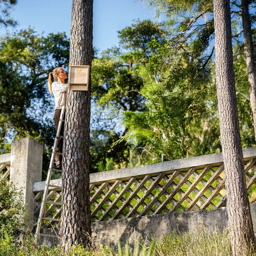 Bat House Installation Guide — How to Mount a Bat Box | Big Bat Box